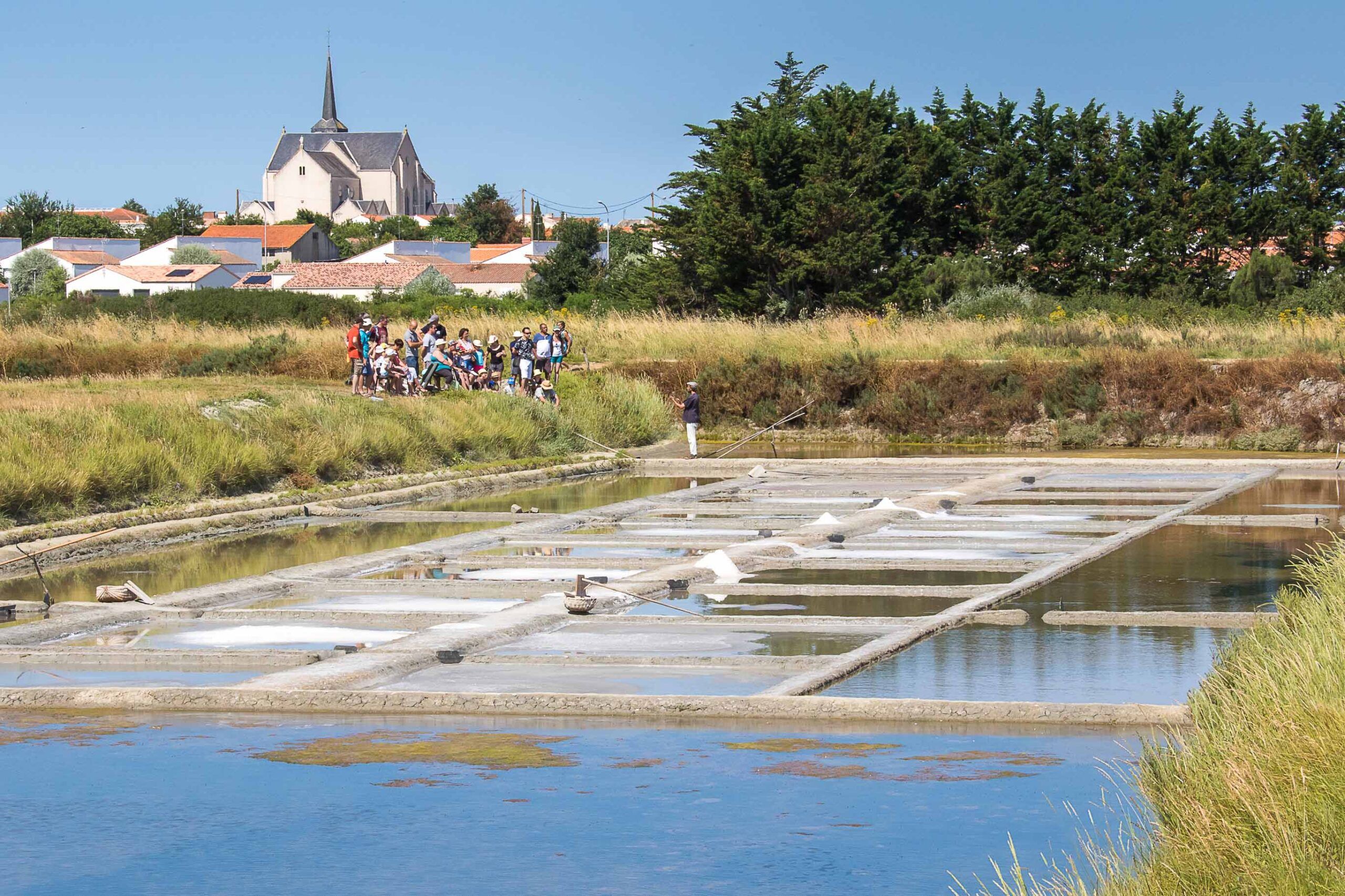 Marais salants de la Vie - Saint-Hilaire-de-Riez (85)
