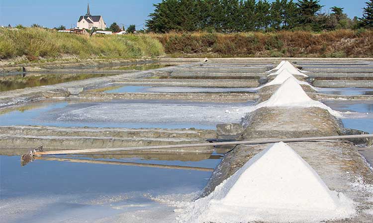 Marais salants de la Vie - Saint-Hilaire-de-Riez (85)